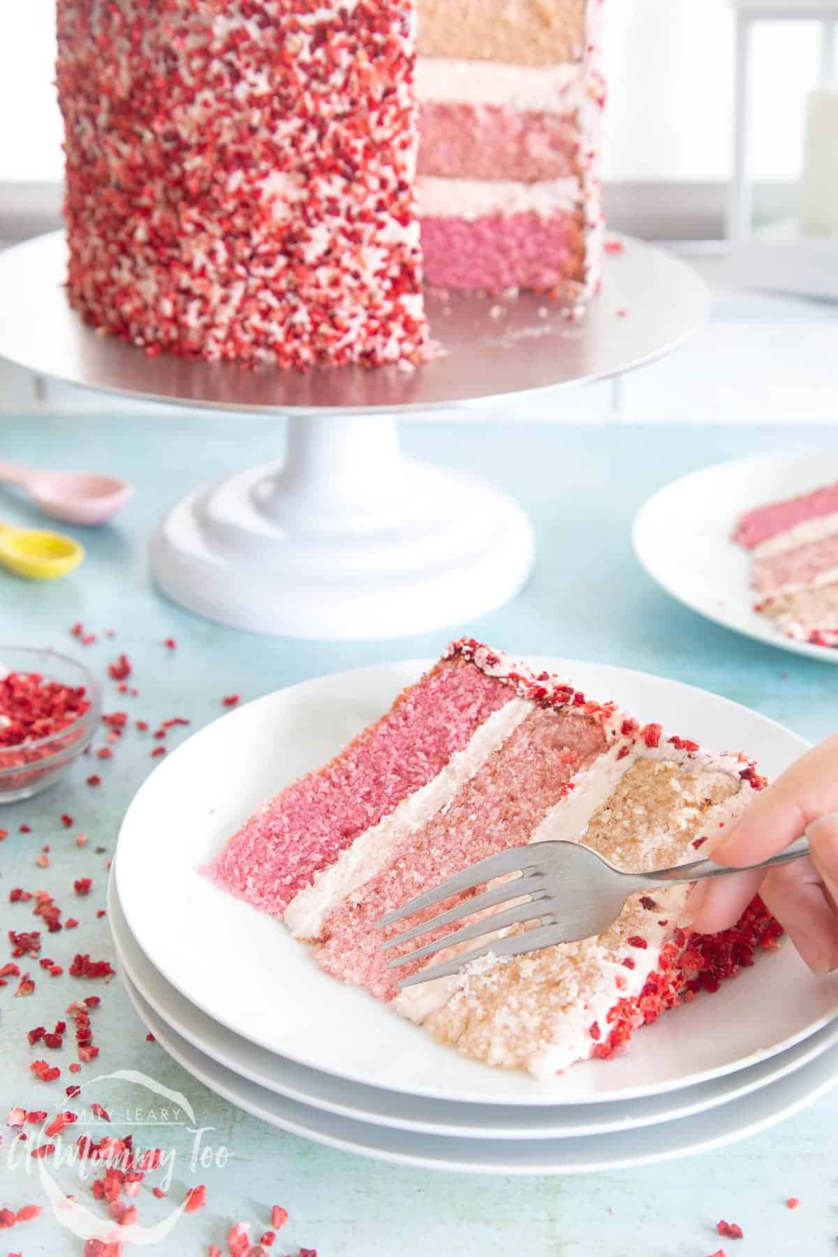 15 Cute & Simple Cakes for Birthdays or Celebrations – Party + Bright